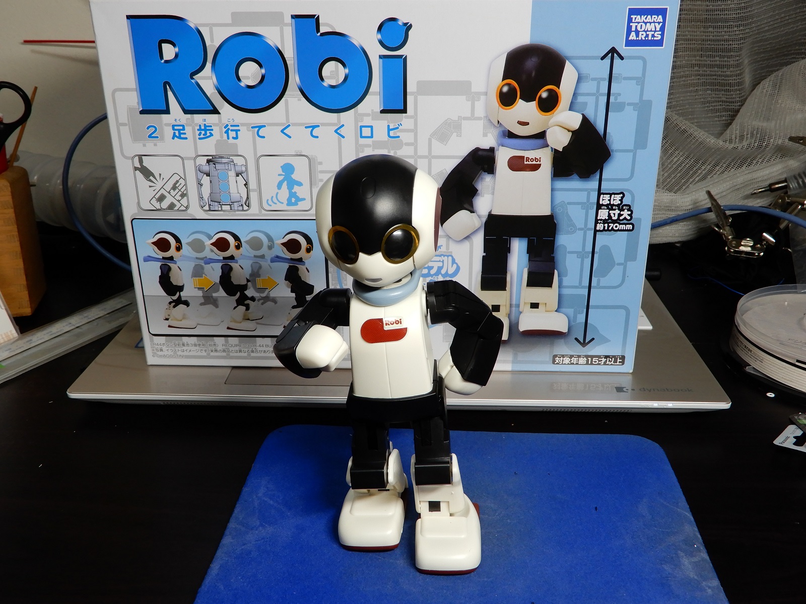 Robi | 武内 晋哉 | Shinya TAKEUCHI | たけうち しんや